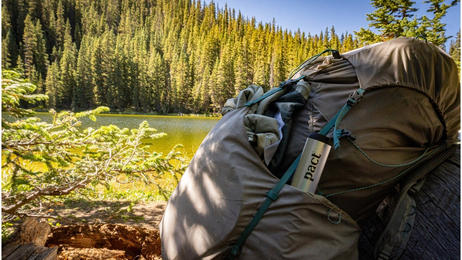 How To Poop In the Woods: A Complete Guide – PACT Outdoors